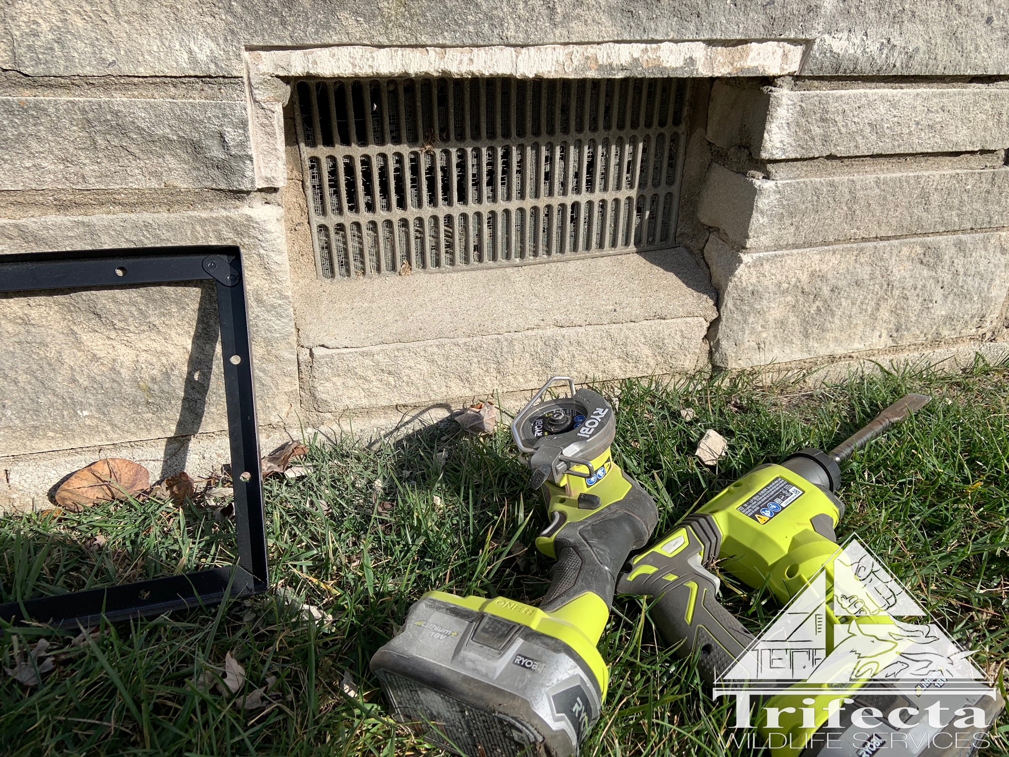 Foundation Vents are an Open "Door" | Trifecta Wildlife Services
