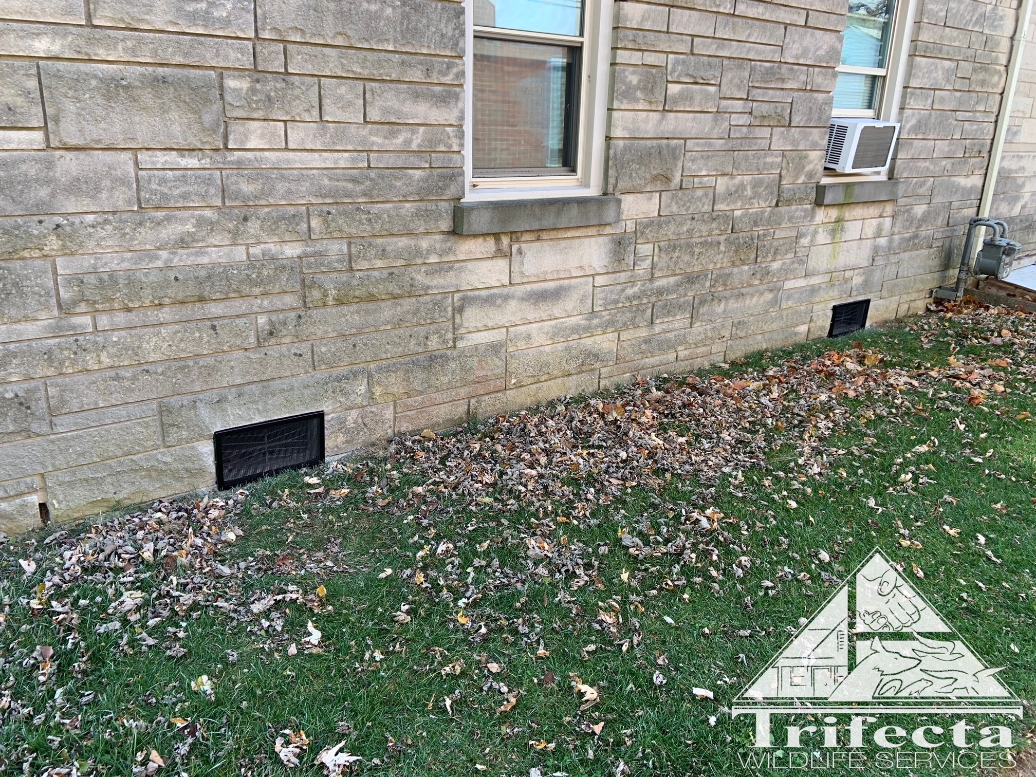 Foundation Vents are an Open "Door" | Trifecta Wildlife Services