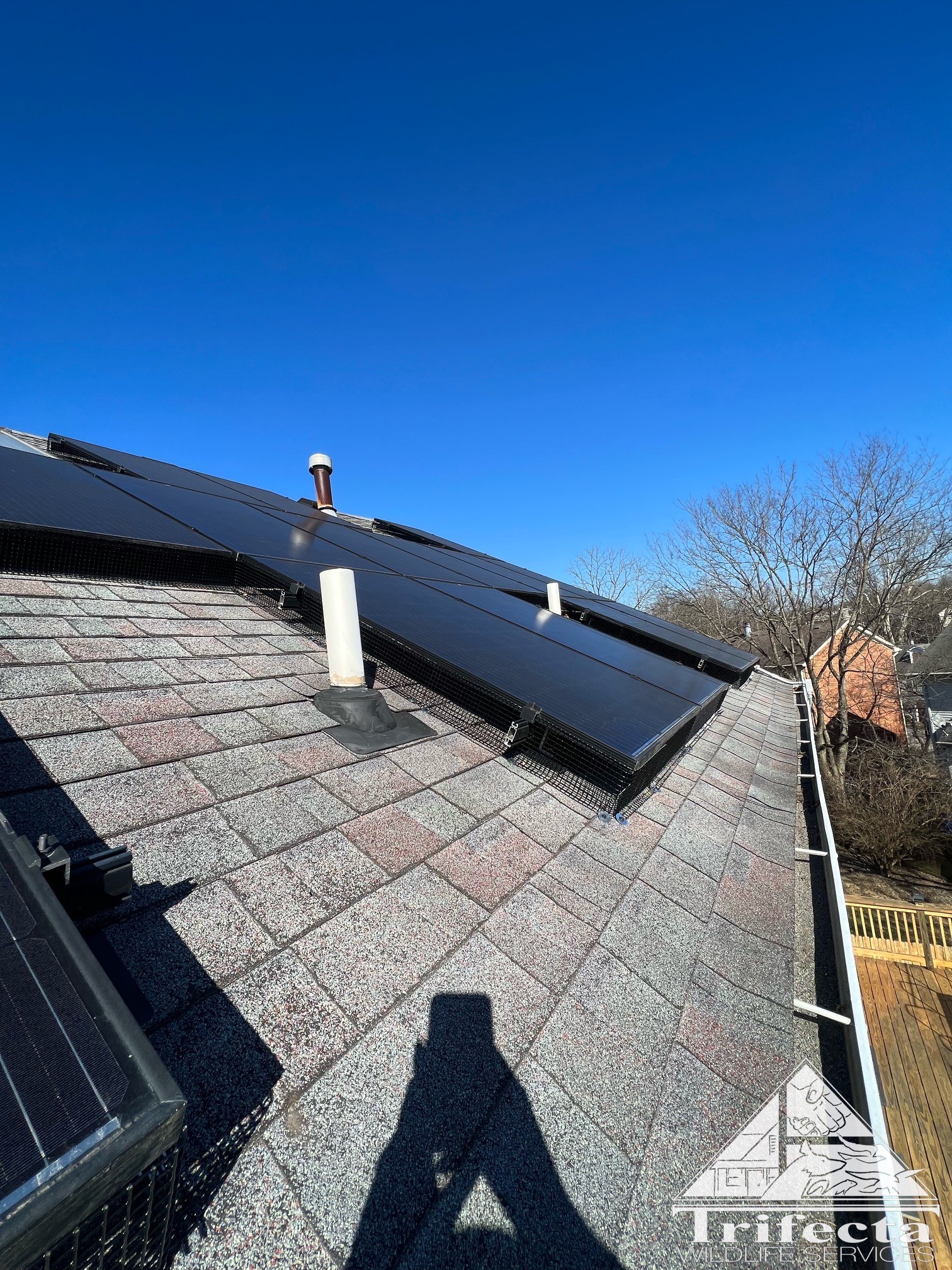 Solar Panels + Squirrels = $$$ Costly Problems